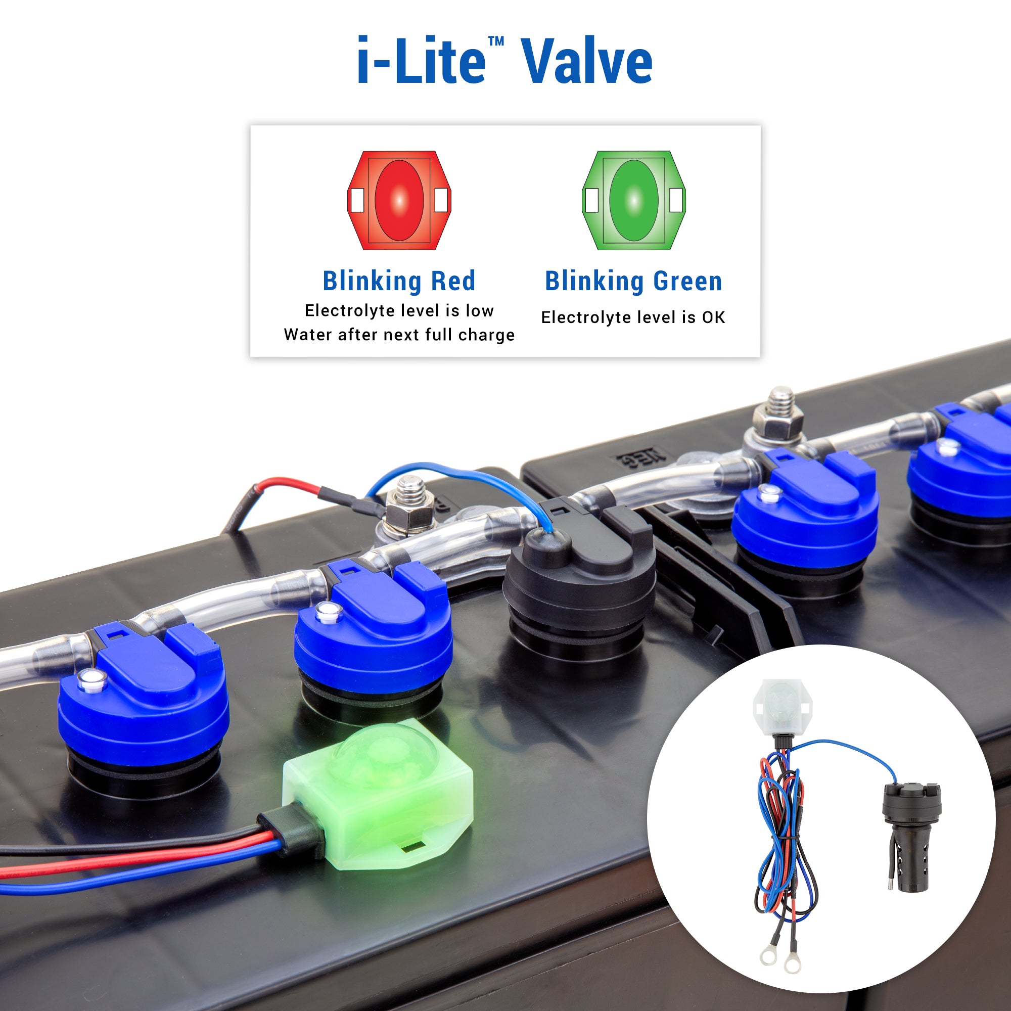 E-Z-GO RXV US Battery (US12VRX) 48v | Water My Battery